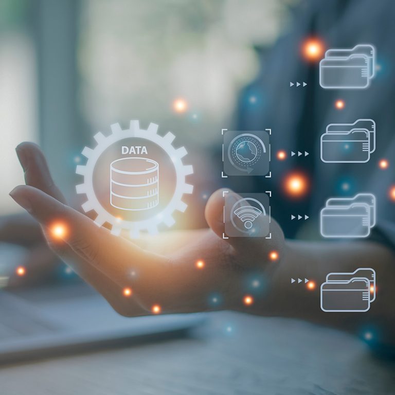 Database Services - Ezen Digital