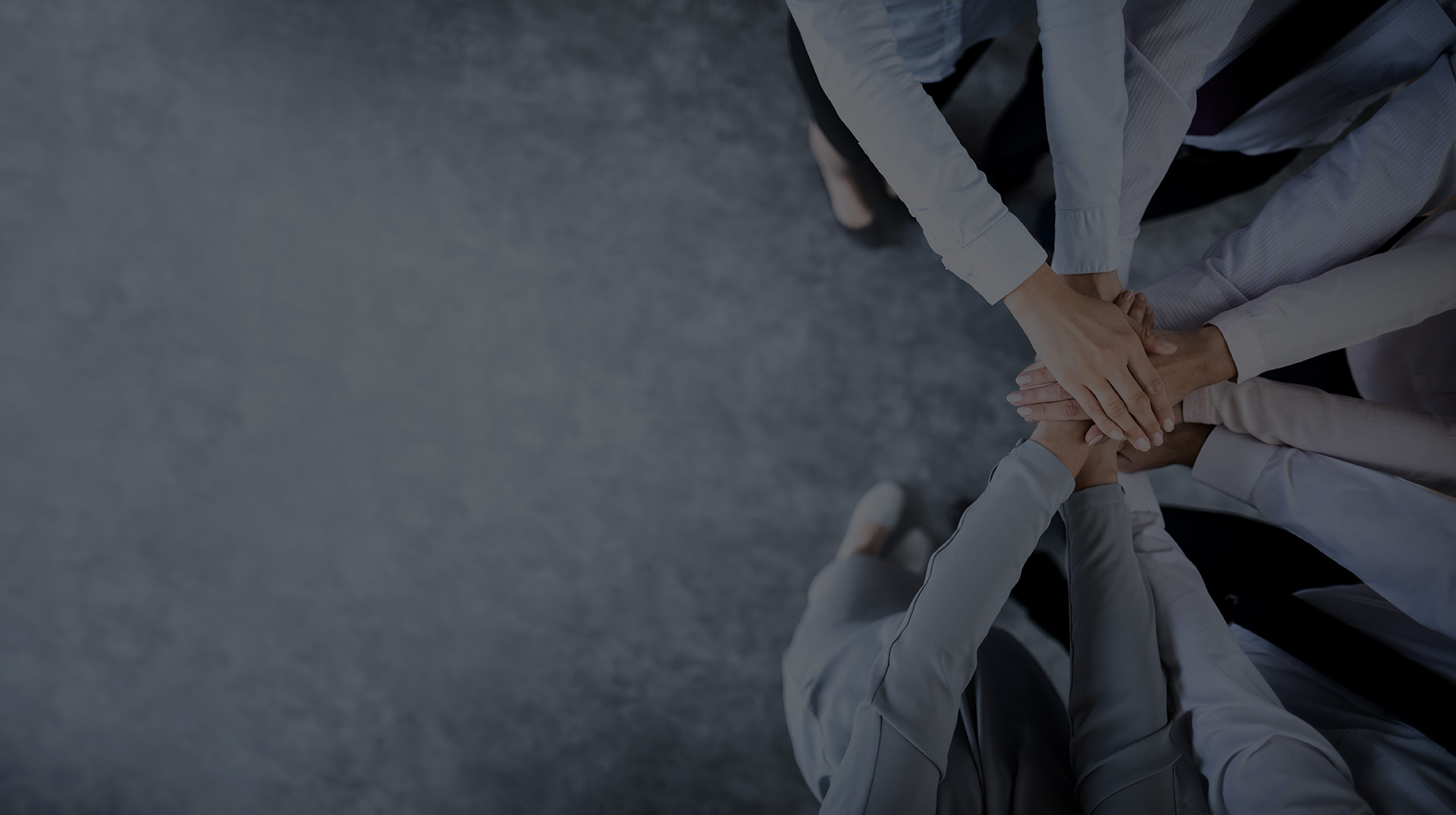 Leadership Team - Ezen Digital