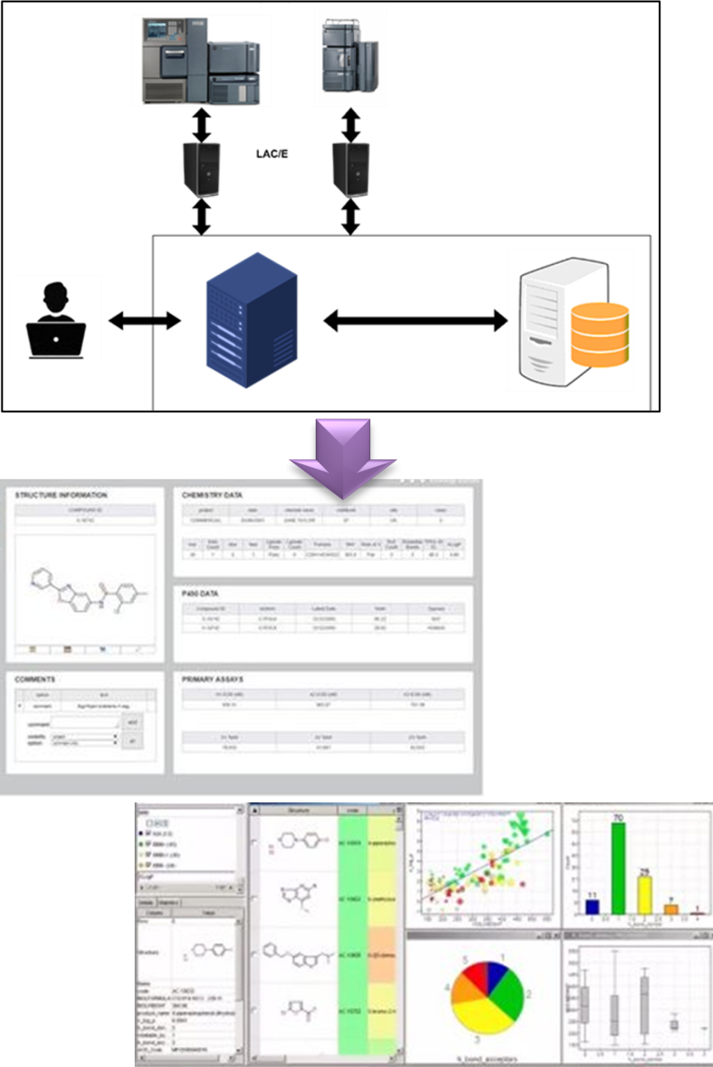 Instrument to Insight - Ezen Digital